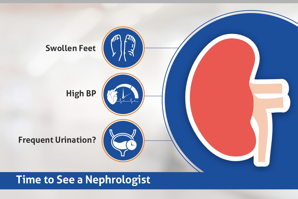 When Should You See a Nephrologist? Signs You Shouldn’t Ignore - Shalby ...
